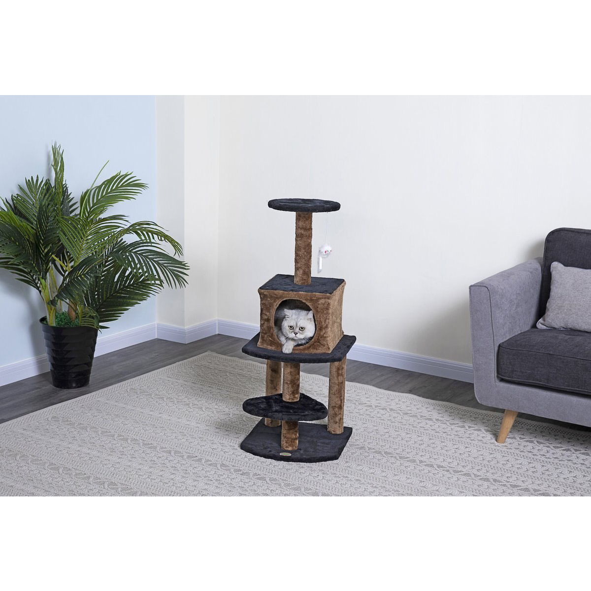 10 Best Budget Cat Trees in 2024 - Reviews & Top Picks - Catster