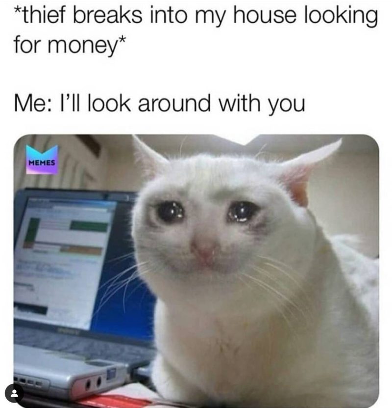 50 Perfect Crying Cat Memes - Sad But Hilarious Jokes - Catster