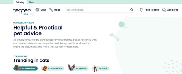 25 Top Cat Blogs Every Kitten Lover Should Read in 2025 - Catster