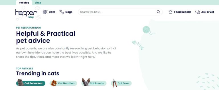 25 Top Cat Blogs Every Kitten Lover Should Read in 2025 - Catster