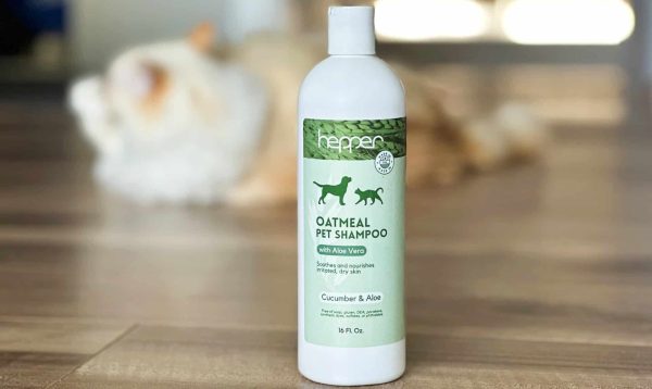10 Best Hypoallergenic Cat Shampoos of 2024 – Reviews & Top Picks - Catster