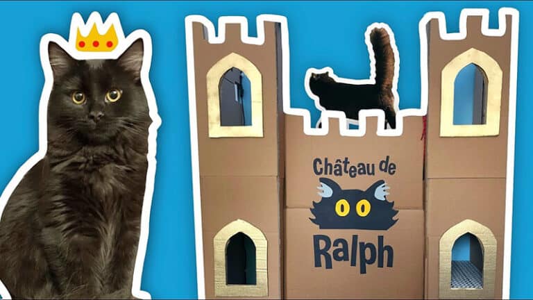 13 DIY Cat Fort Plans You Can Make Today (With Pictures) - Catster