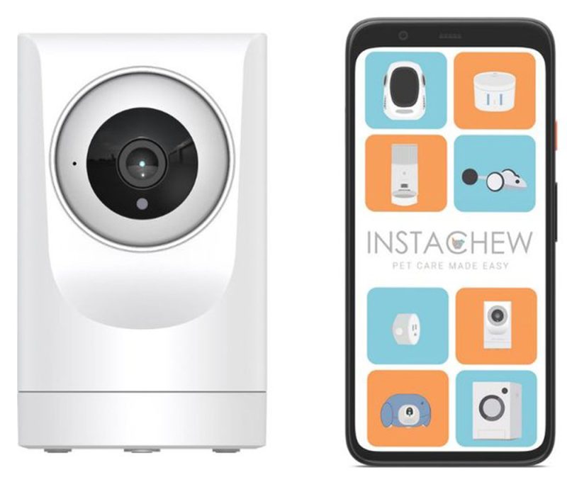 10 Best Pet Cameras for Cats in 2025 - Reviews & Top Picks - Catster