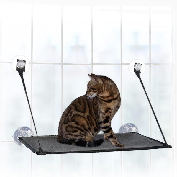 9 Best Cat Window Perches & Beds in 2026 - Reviews & Top Picks - Catster
