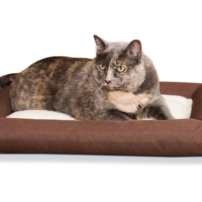 10 Best Outdoor Cat Beds in 2024 - Reviews & Top Picks - Catster