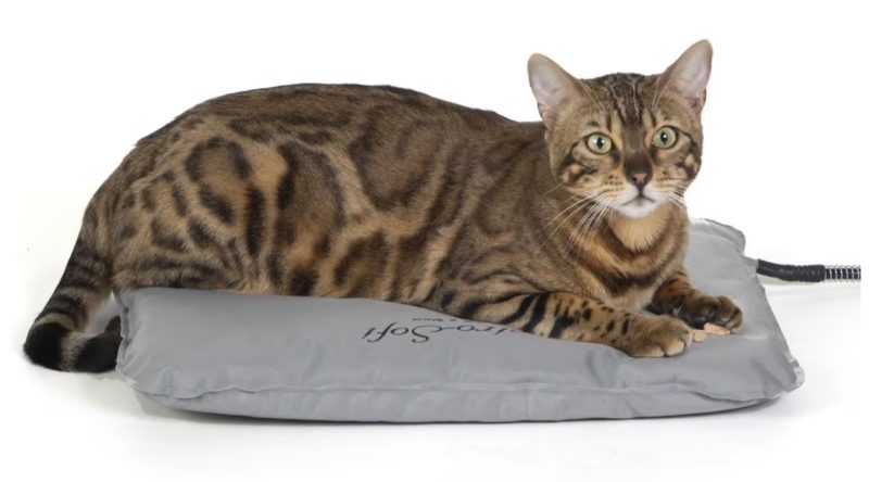 10 Best Cat Heating Pads (2026) - Reviews & Top Picks - Catster