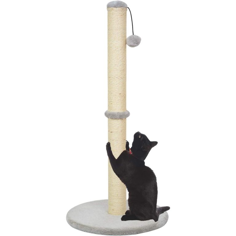 8 Best Cat Scratching Posts in the UK in 2025 - Reviews & Top Picks ...