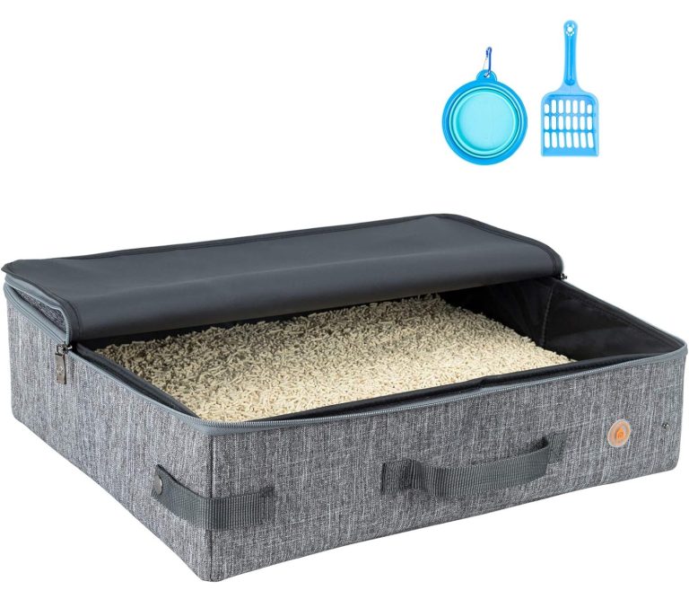 9 Best Travel Litter Boxes in 2026 - Reviews & Top Picks - Catster