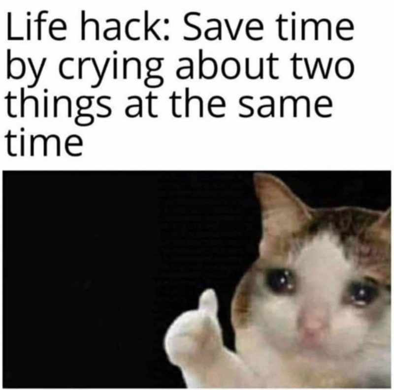 50 Perfect Crying Cat Memes - Sad But Hilarious Jokes - Catster