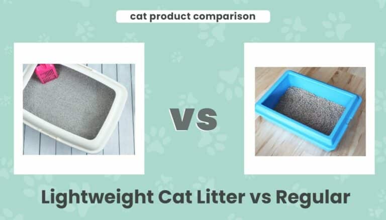 Lightweight Cat Litter vs Regular: Our 2026 Comparison - Catster