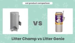 Litter Champ vs. Litter Genie: How Do They Compare? 2024 Comparison ...