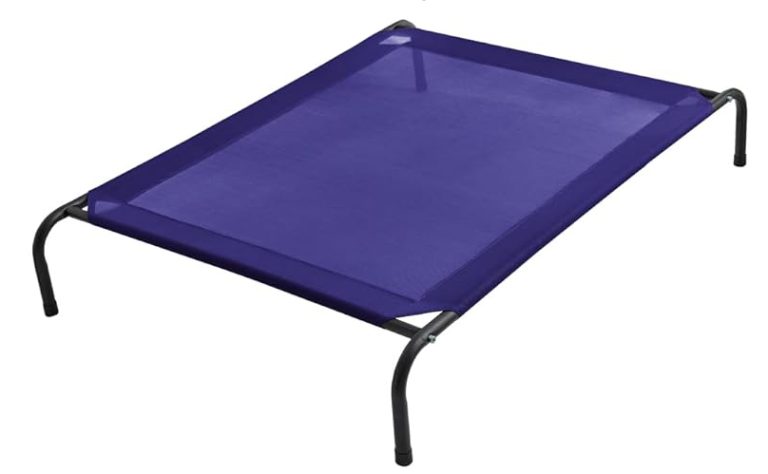 9 Best Elevated Cat Beds in 2025 - Reviews & Top Picks - Catster