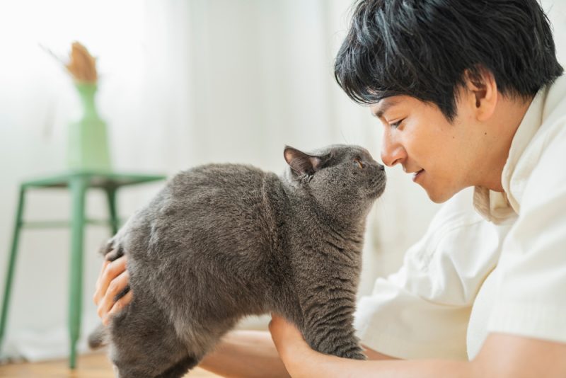 Why Does My Cat Bite My Nose? 6 Possible Reasons & Vet-Approved Tips ...