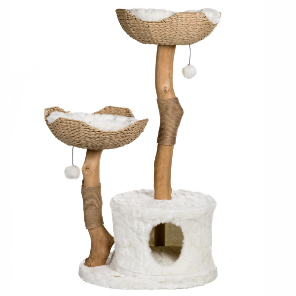 10 Best Cat Trees for Kittens in 2026 - Reviews And Top Picks - Catster