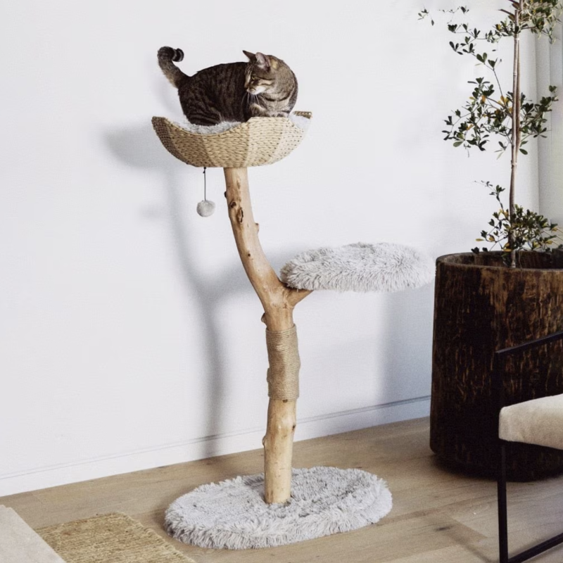 10 Best Modern Cat Trees in 2025 - Reviews & Top Picks - Catster