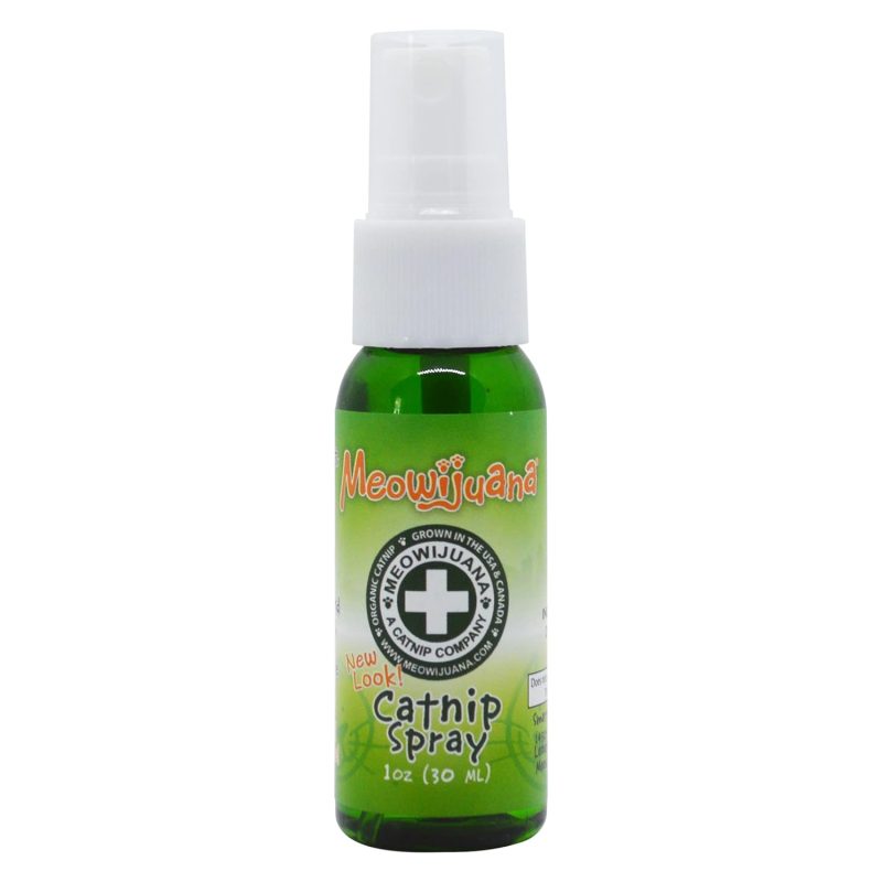 7 Best Catnip Sprays of 2026 - Reviews & Top Picks - Catster