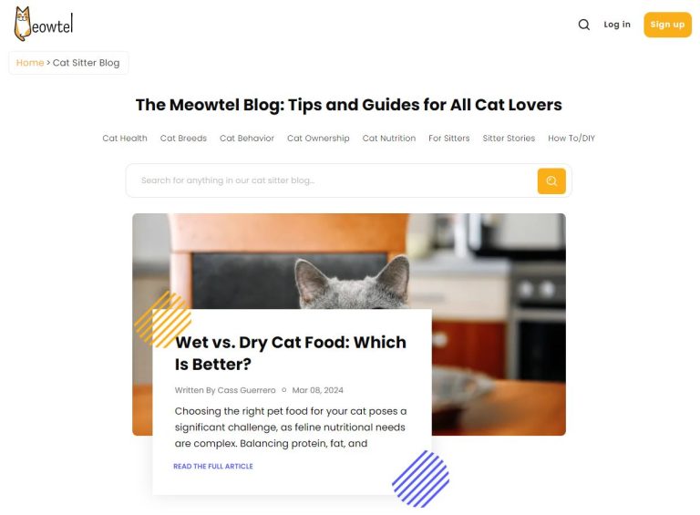 25 Top Cat Blogs Every Kitten Lover Should Read in 2026 - Catster