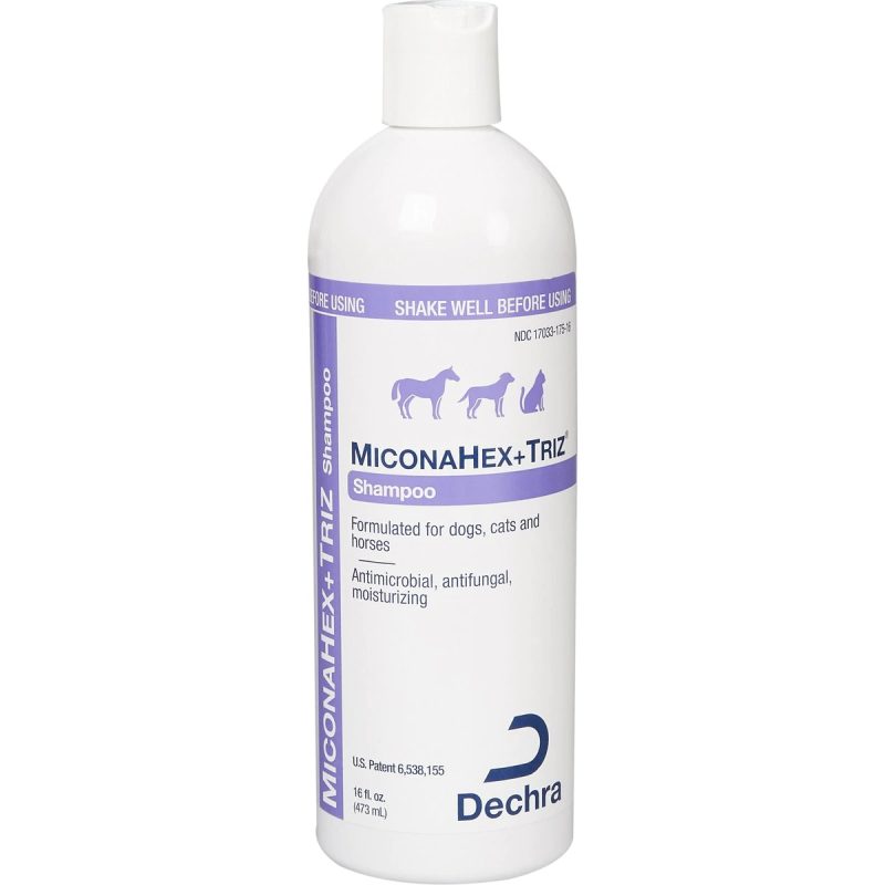 9 Best Shampoos for Sphynx Cats in 2026 - Reviews & Top Picks - Catster