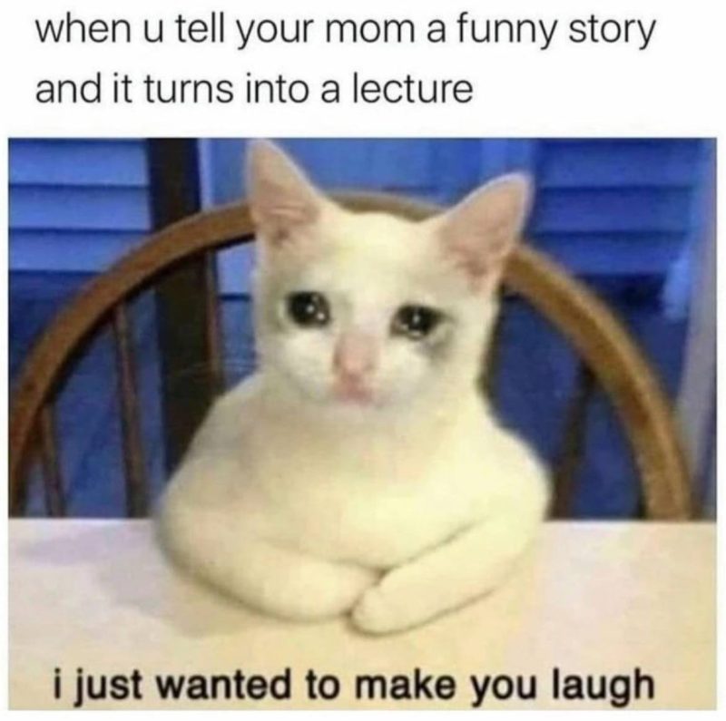 50 Perfect Crying Cat Memes - Sad But Hilarious Jokes - Catster
