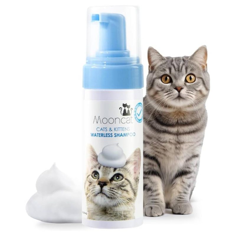8 Best Waterless Cat Shampoos in 2025: Reviews & Top Picks - Catster