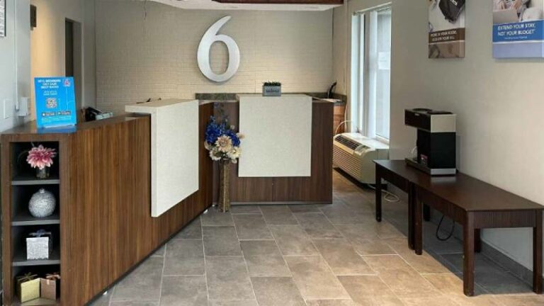 14 Cat-Friendly Hotels Chains for Holiday Travel in 2026 - Catster
