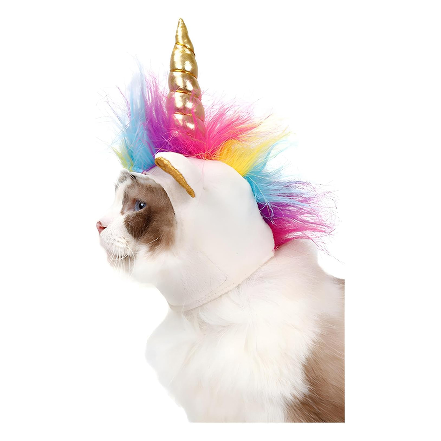 9 Best Halloween Costumes for Cats in 2024: Reviews & Top Picks - Catster