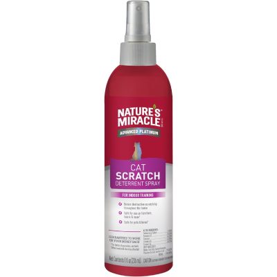 8 Best No Scratch Sprays for Cats in 2025 – Reviews & Top Picks - Catster