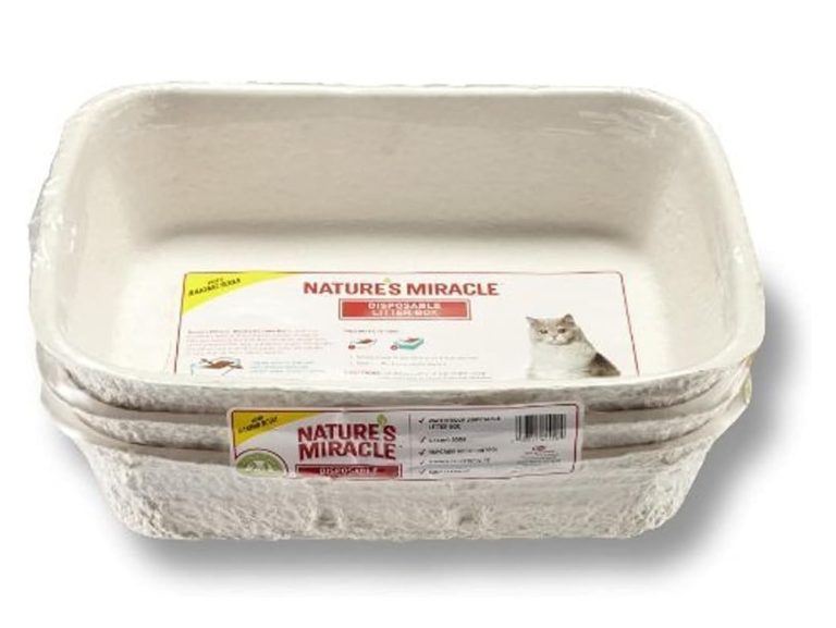 10 Best Cat Litter Boxes for Odor Control in 2025: Reviews & Top Picks ...