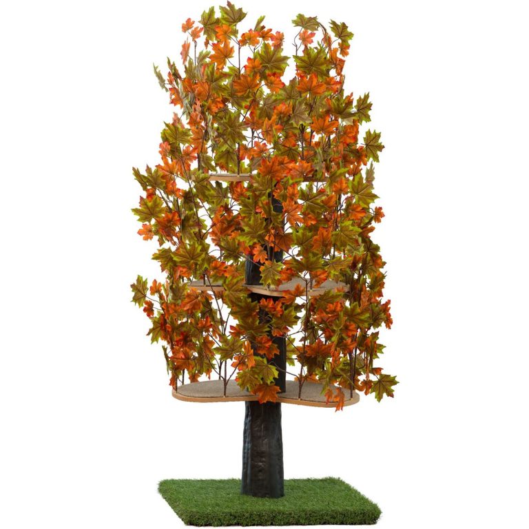 12 Best Cat Trees for Large Cats in 2025 - Reviews & Top Picks - Catster