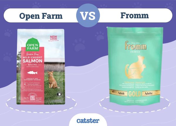 Open Farm vs Fromm Cat Food: 2025 Comparison - Catster