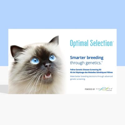 5 Best Cat DNA Tests of 2026 - Reviews & Top Picks - Catster