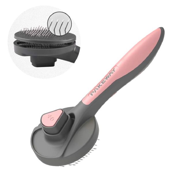 10 Best Kitten Brushes of 2026 - Reviews & Top Picks - Catster