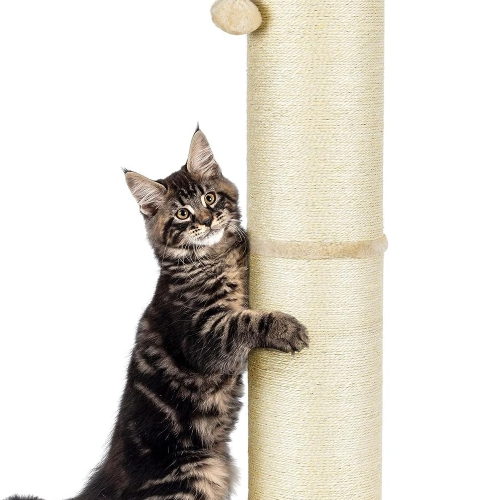 9 Best Cat Scratching Posts in Canada in 2026 - Reviews & Top Picks ...