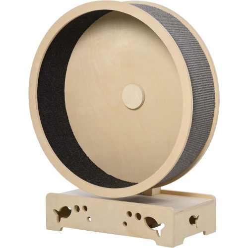 6 Best Cat Exercise Wheels in 2025 - Reviews & Top Picks - Catster