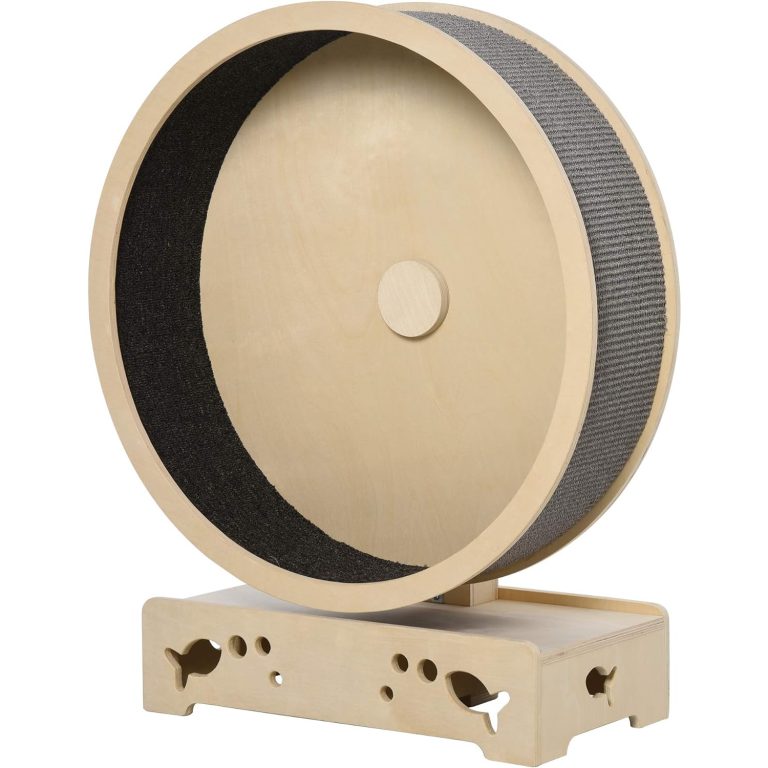 5 Best Cat Exercise Wheels in 2026 - Reviews & Top Picks - Catster