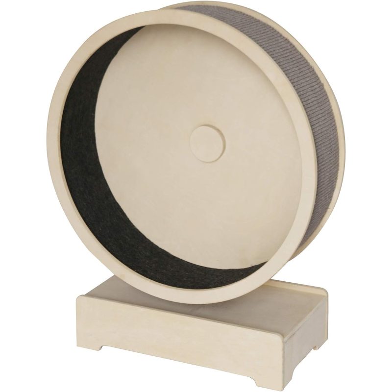 6 Best Cat Exercise Wheels in 2025 - Reviews & Top Picks - Catster