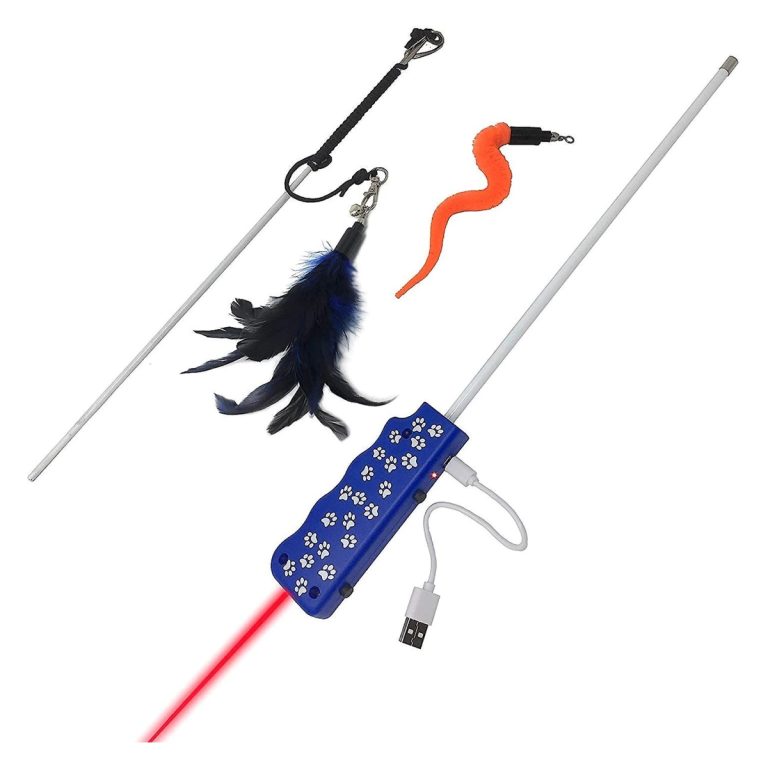 9 Best Laser Pointers for Cats in 2026 - Reviews & Top Picks - Catster