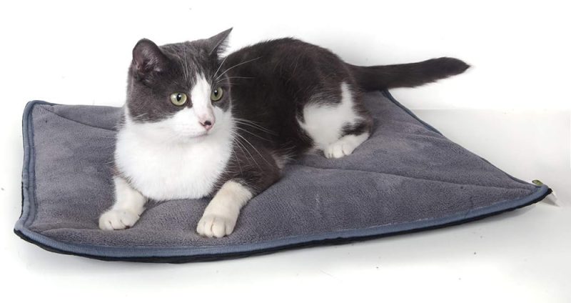 10 Best Heated Cat Beds in 2025 (Indoors & Outdoors) – Reviews & Top ...