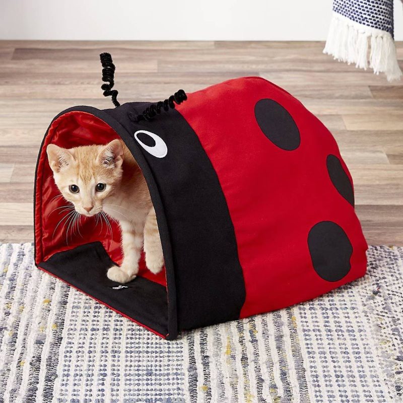 7 Best Designer Cat Beds of 2025 - Reviews & Top Picks - Catster