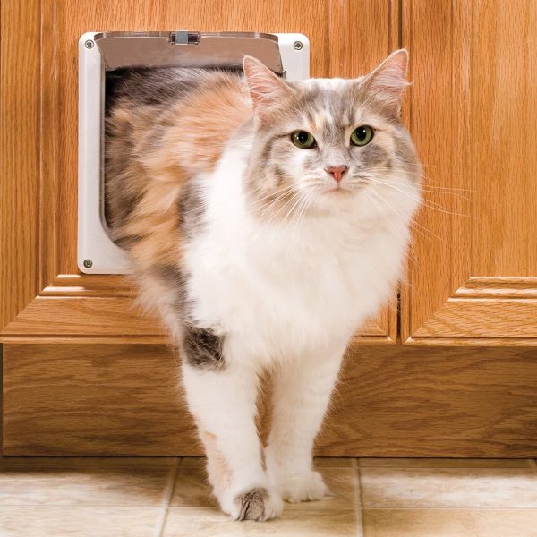 8 Best Cat Doors (2025) - Reviews & Top Picks - Catster