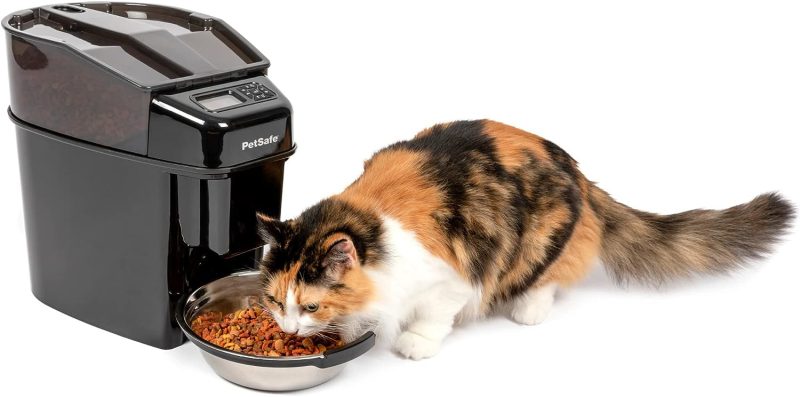 5 Best Raccoon-Proof Cat Feeders in 2026: Reviews & Top Picks - Catster