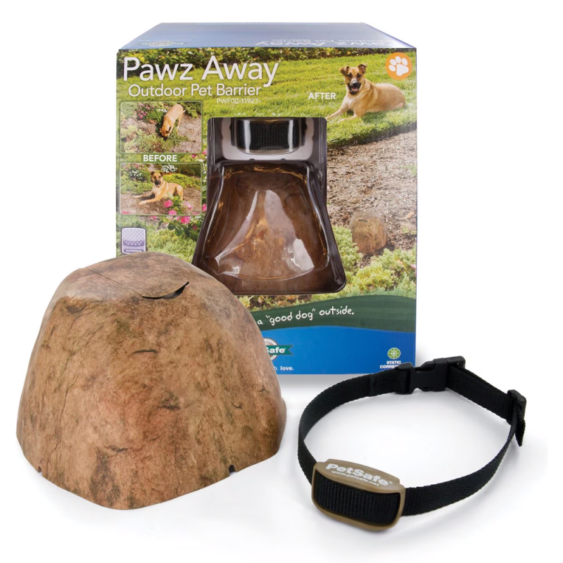 6 Best Invisible Fences for Cats in 2026 - Reviews & Top Picks - Catster