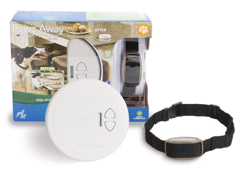 6 Best Invisible Fences for Cats in 2026 - Reviews & Top Picks - Catster