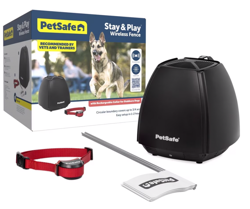 6 Best Invisible Fences for Cats in 2026 - Reviews & Top Picks - Catster