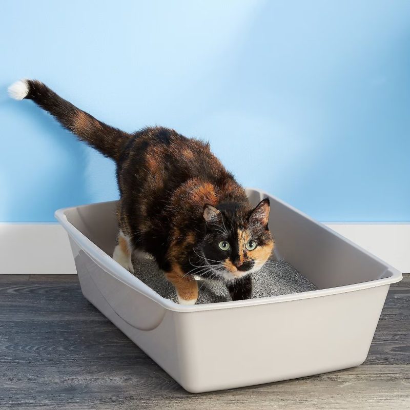9 Best Cat Litter Boxes in 2026 - Reviews & Top Picks - Catster
