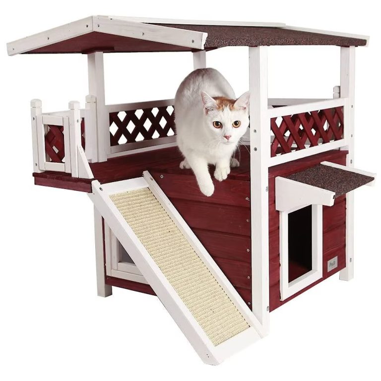 10 Best Outdoor Cat Houses of 2026 - Reviews & Top Picks - Catster