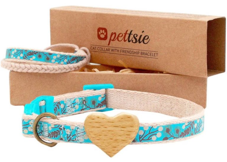 10 Best Cat Collars in 2026 - Reviews & Top Picks - Catster