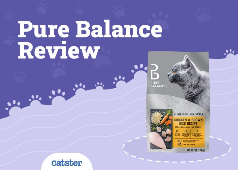 Pure Balance Cat Food Review in 2026: Recalls, Pros & Cons - Catster