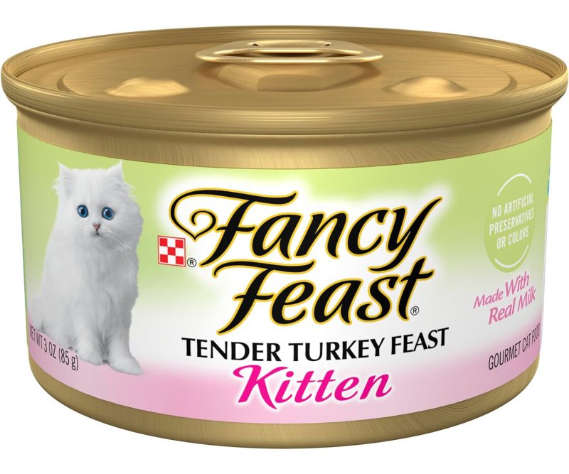 10 Best Kitten Foods in 2026 - Reviews & Top Picks - Catster