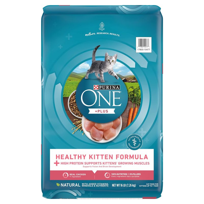 10 Best Dry Kitten Foods (2025) - Reviews & Top Picks - Catster
